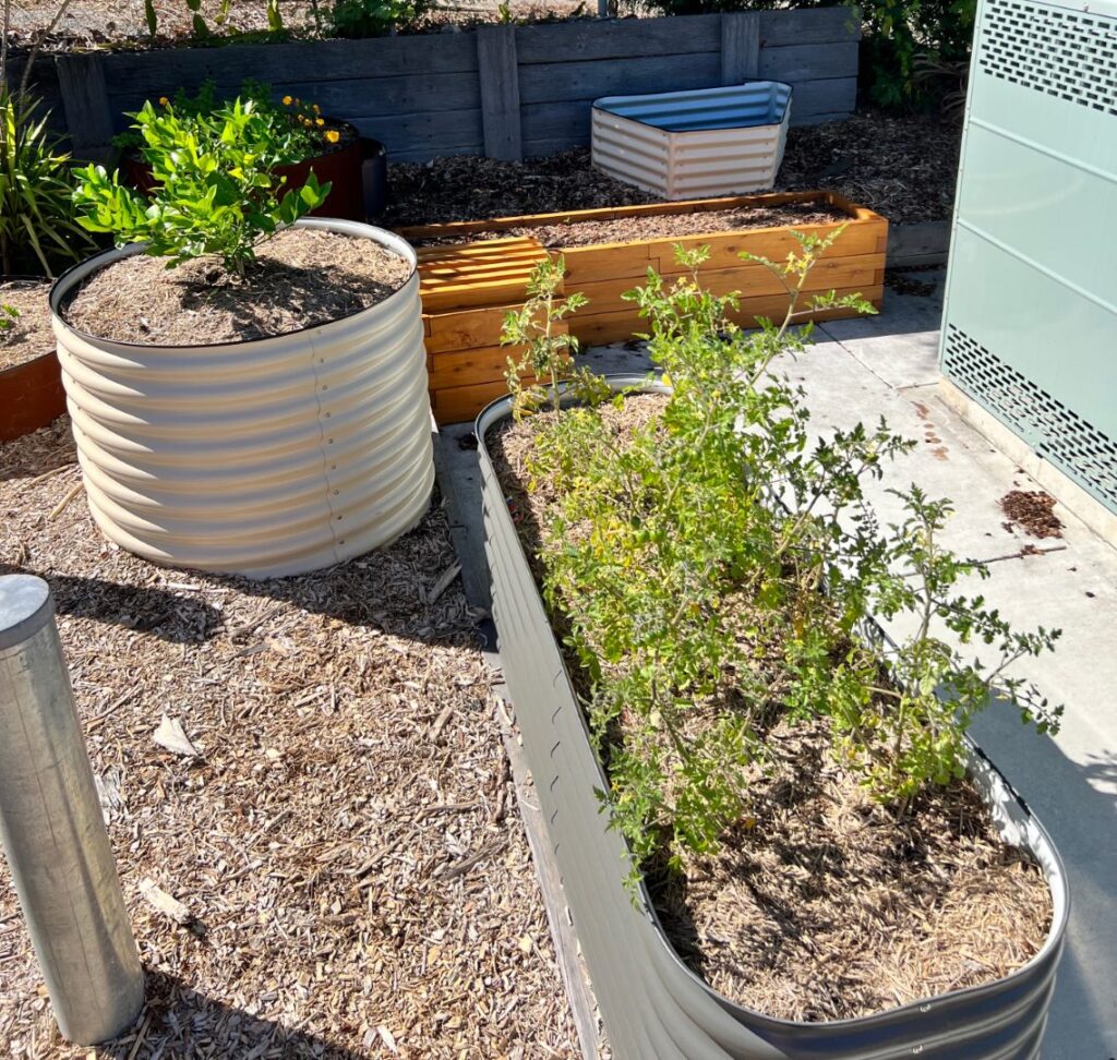 About - Birdies Garden Products USA